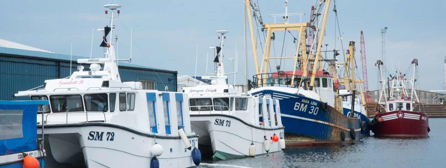 Brighton Fish – Home delivery and Restaurant sales