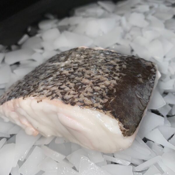 Wild Hake Fillet - Brighton & Newhaven Fish Sales