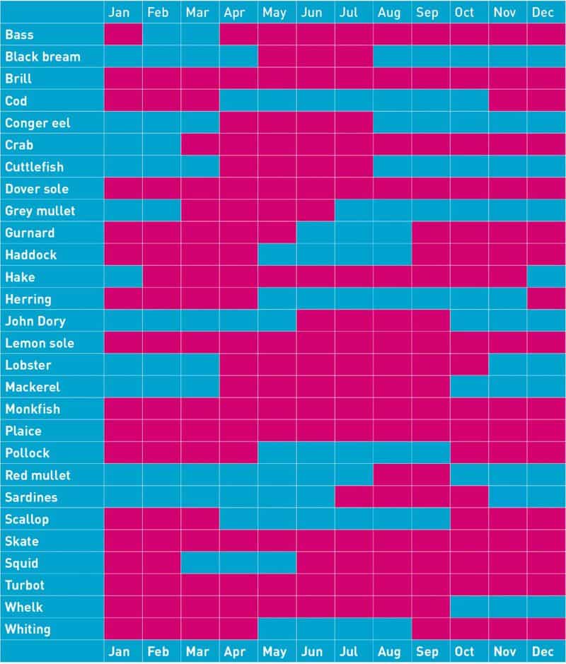 Seasonality on the South Coast - Brighton & Newhaven Fish Sales