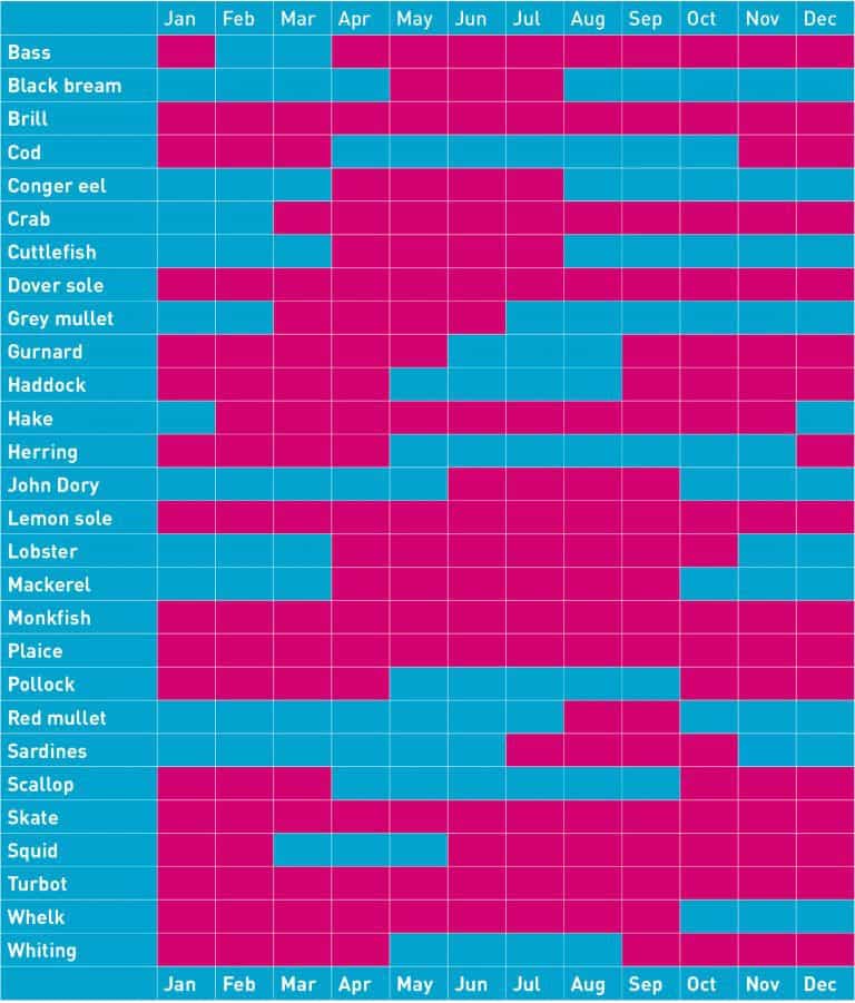 Seasonality on the South Coast - Brighton & Newhaven Fish Sales